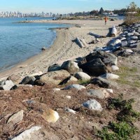 Sidewalk Babble – Meandering through the urban maze